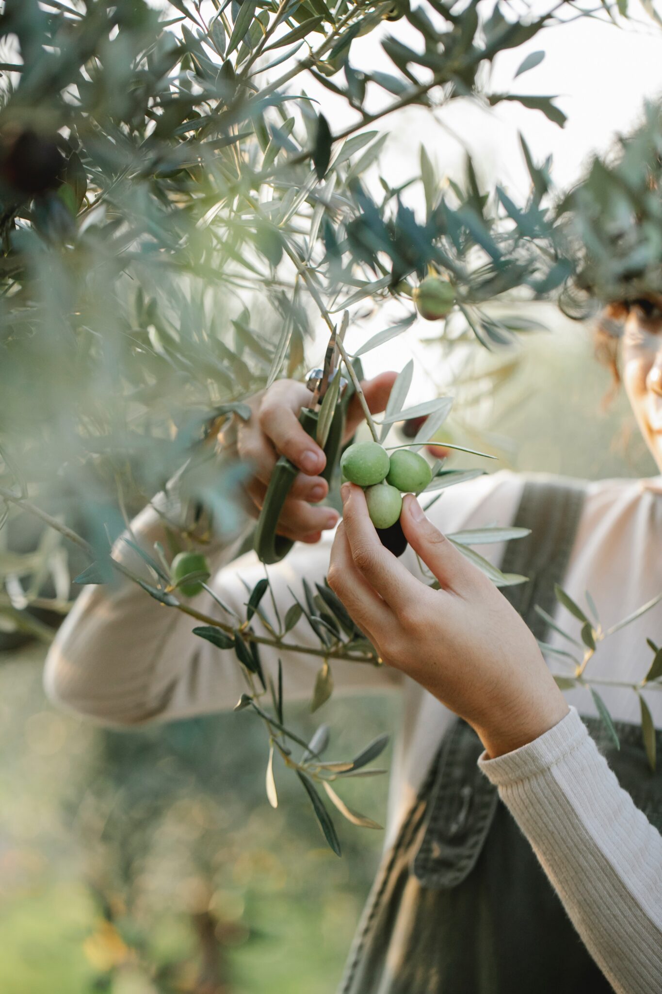 6 Foods That Fight Inflammation | The Dimple Life
