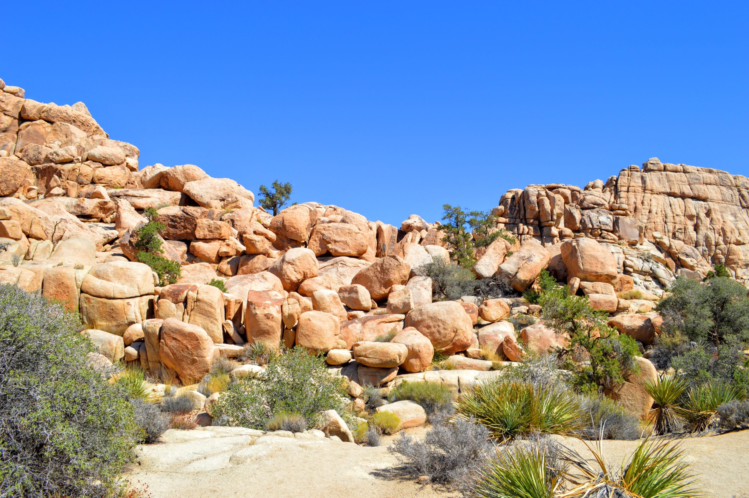 Desert Magic to Bring You Closer to Self: 24 Hours In Joshua Tree | The ...