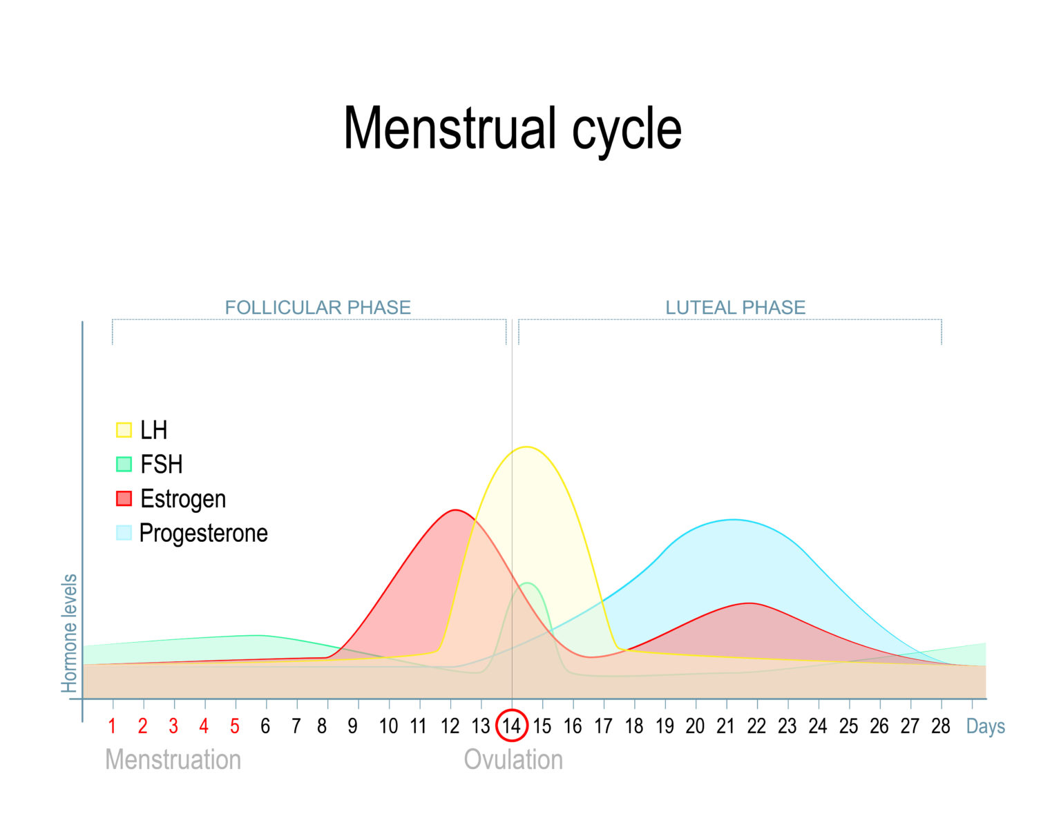 Women's Health 101 with Parsley Health Event Recap | The Dimple Life